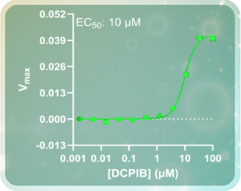 Comprehensive Assay Collection for TMEM175 Drug Discovery | ION Biosciences